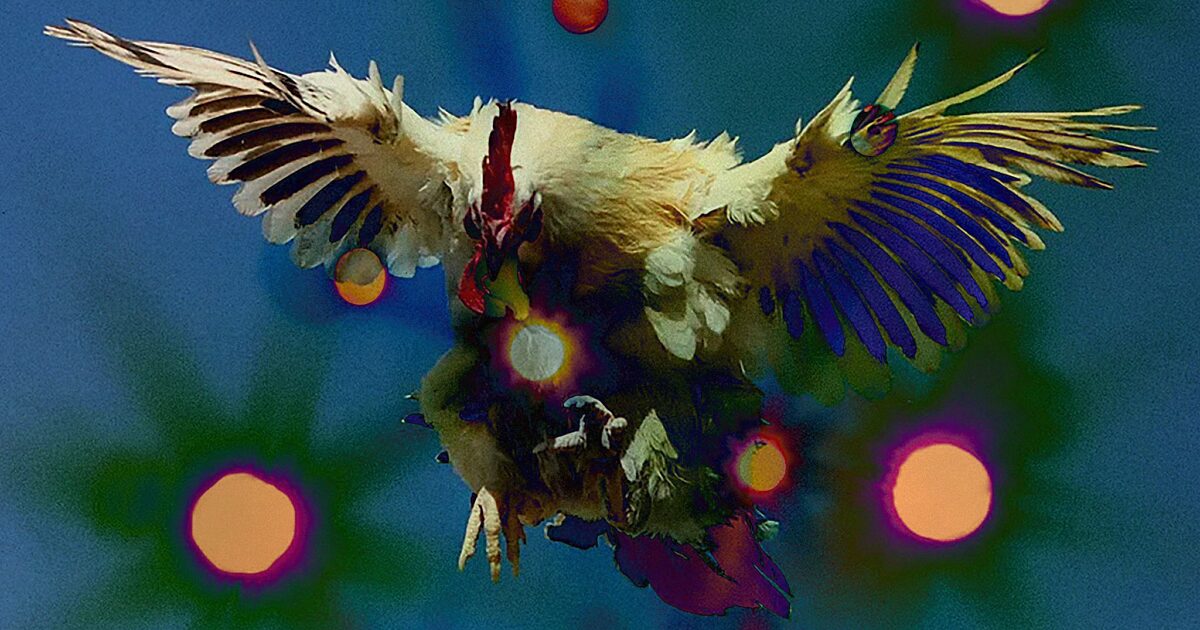 a pulse with no body a sun with no sky | Bosse Provoost & Ezra Veldhuis