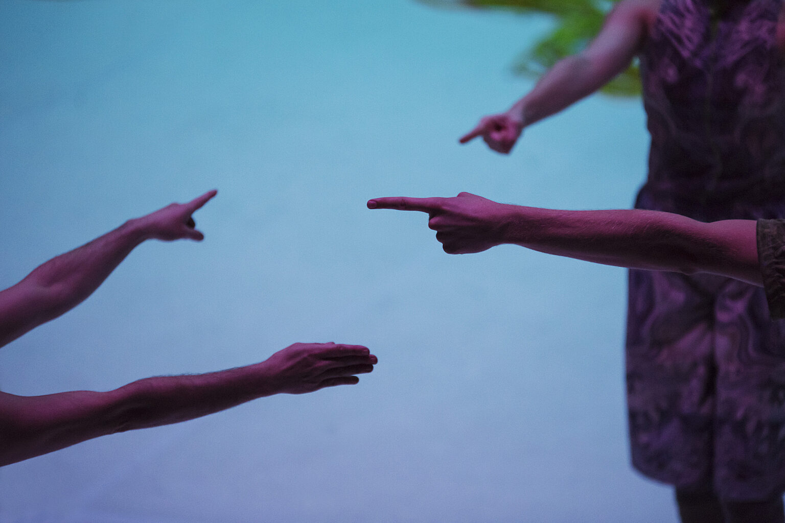 All Watched Over by Machines of Loving Grace | Bosse Provoost & Ezra ...