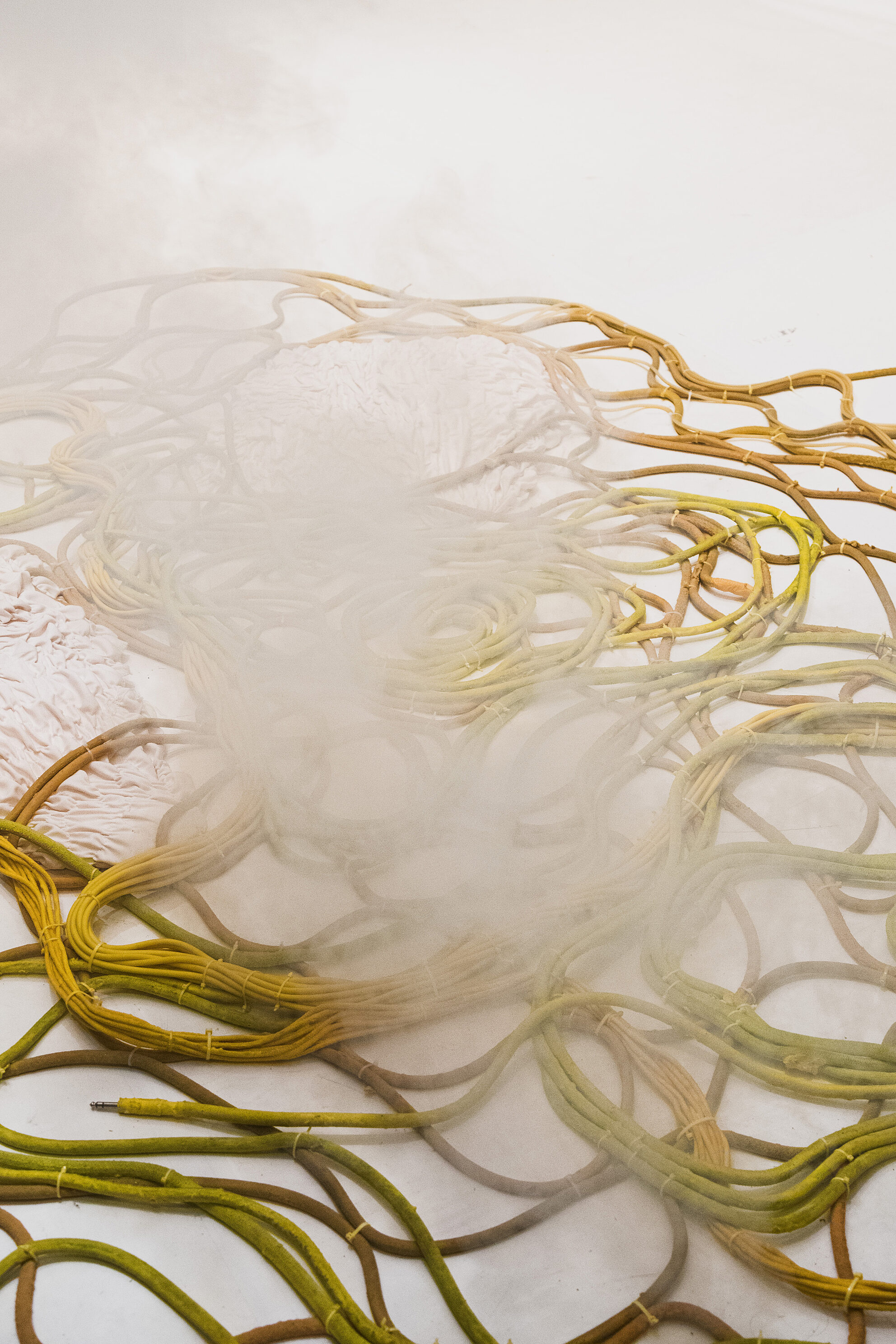 All Watched Over by Machines of Loving Grace | Bosse Provoost & Ezra ...